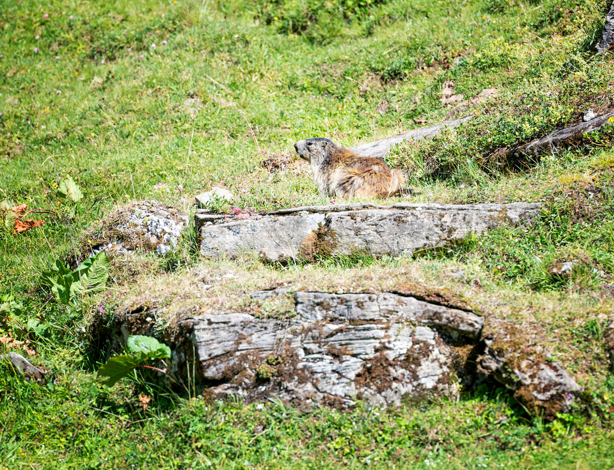 Champagny en Vanoise - Venir à la station de ski familiale La Plagne ...